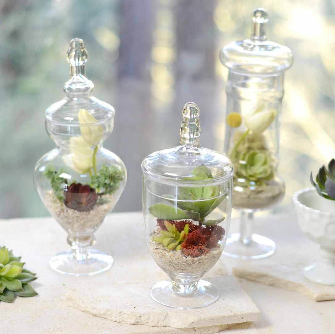 Low Prices on Vases | Flower, Cylinder, Square, Jars, Glass & More ...