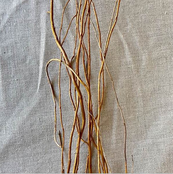 Curly Willow Tree Branch Bundle, 3-4 Feet - Save-On-Crafts